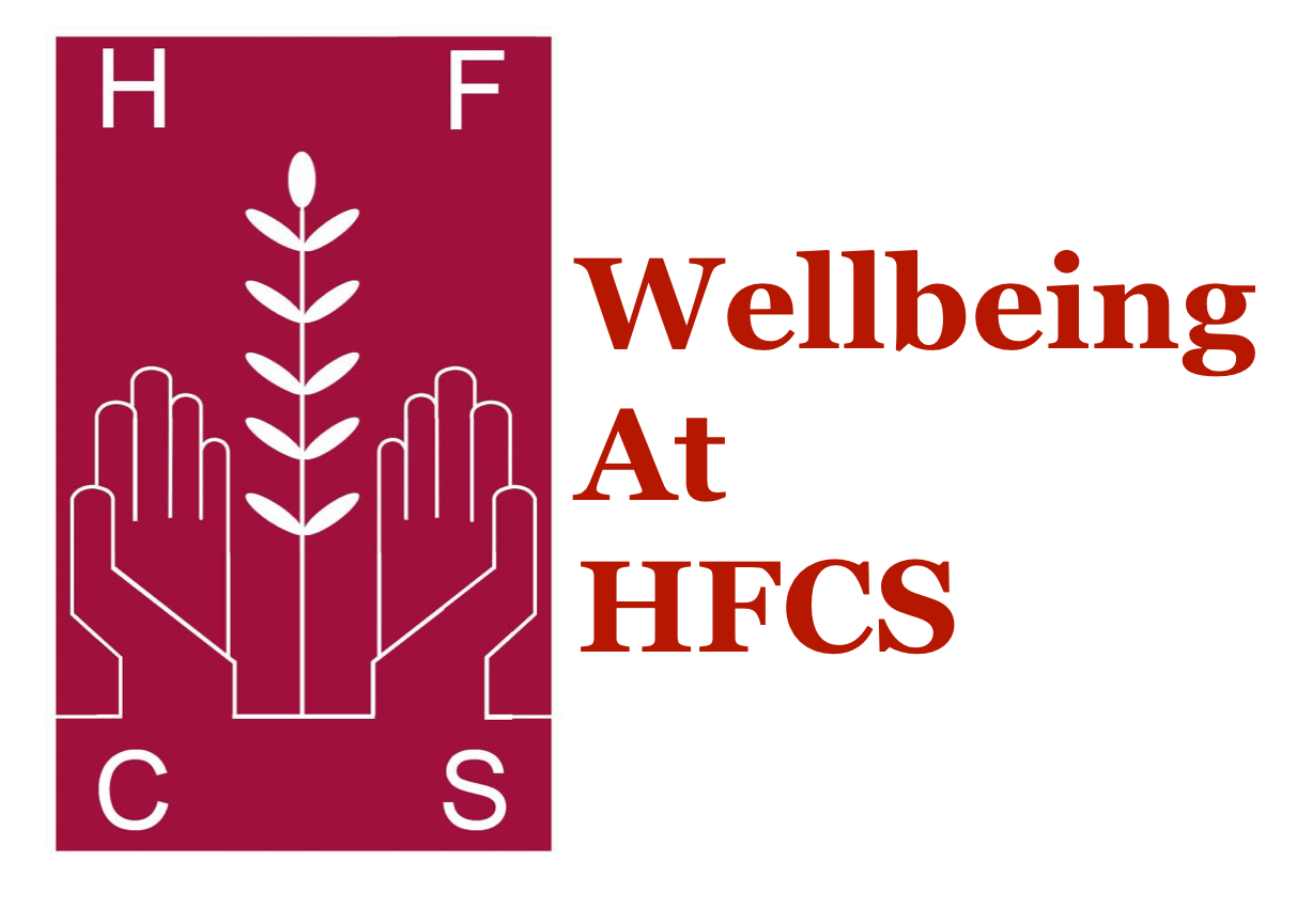 Our Curriculum - HFCS.ie